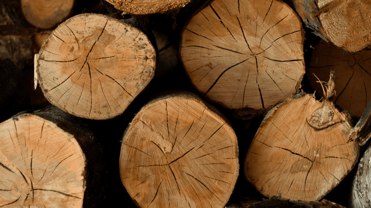 Jak vyčistit dřevo | ČistéDřevo.cz